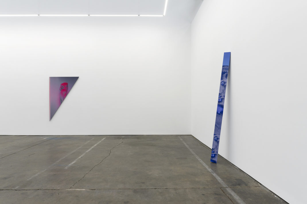 Selected Exhibitions - Sara VanDerBeek Sara Vanderbeek